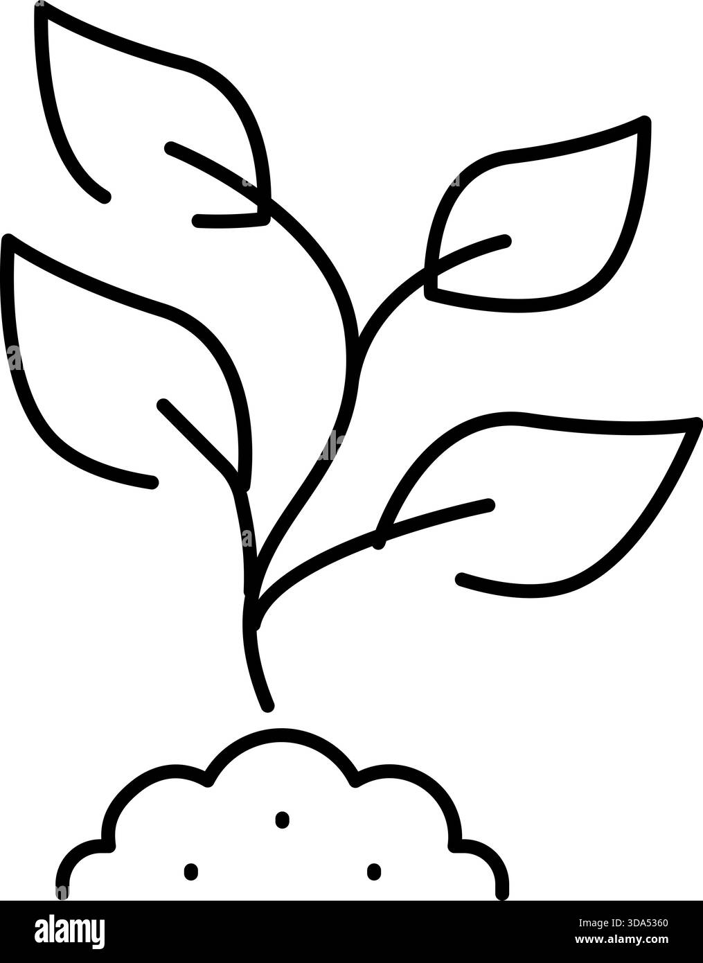 Fertile foliage Cut Out Stock Images & Pictures - Alamy