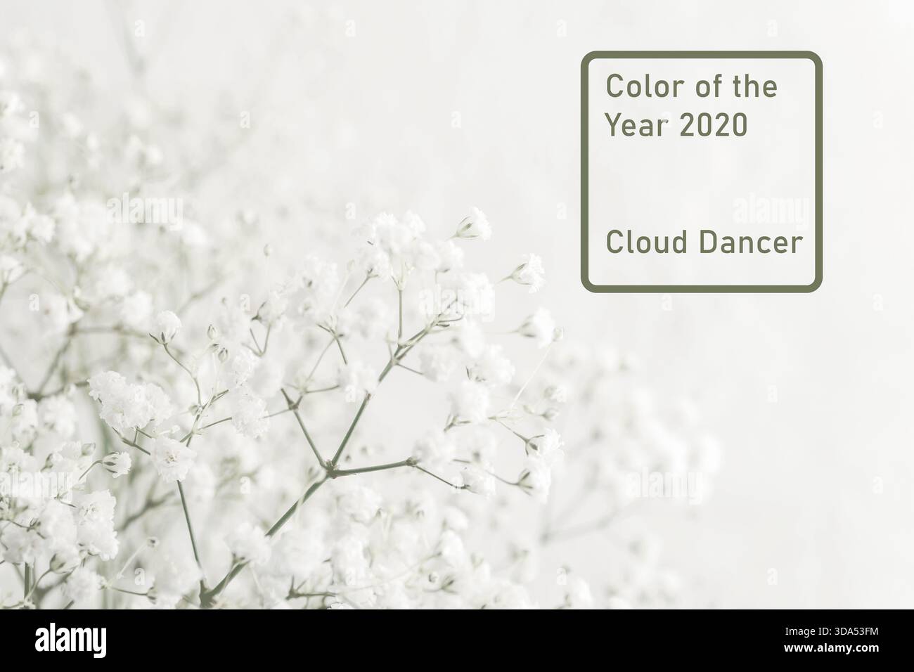Minimal color year 2026 hi-res stock photography and images - Alamy