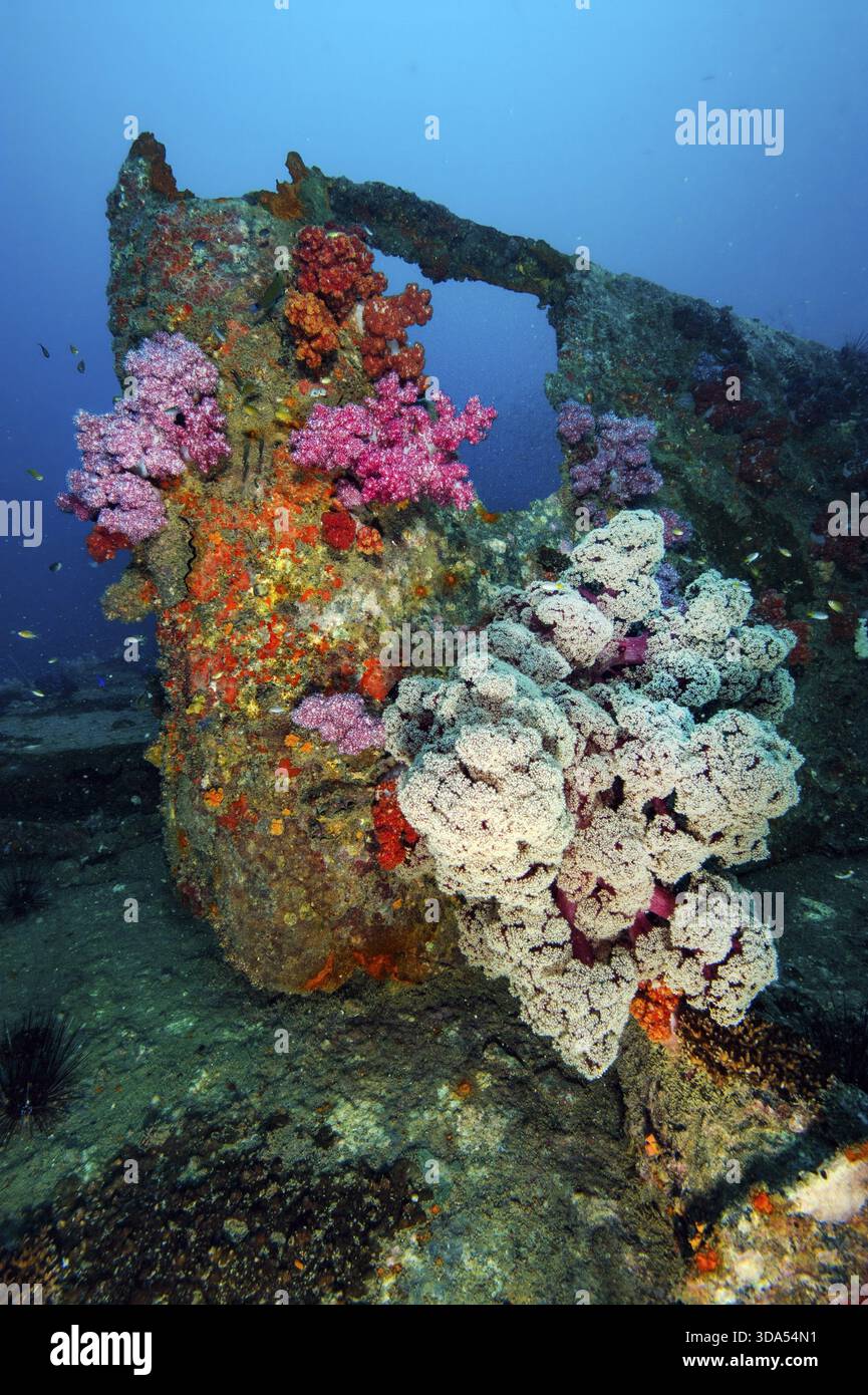 Underwater photography sunken ship wreck hi-res stock photography and ...