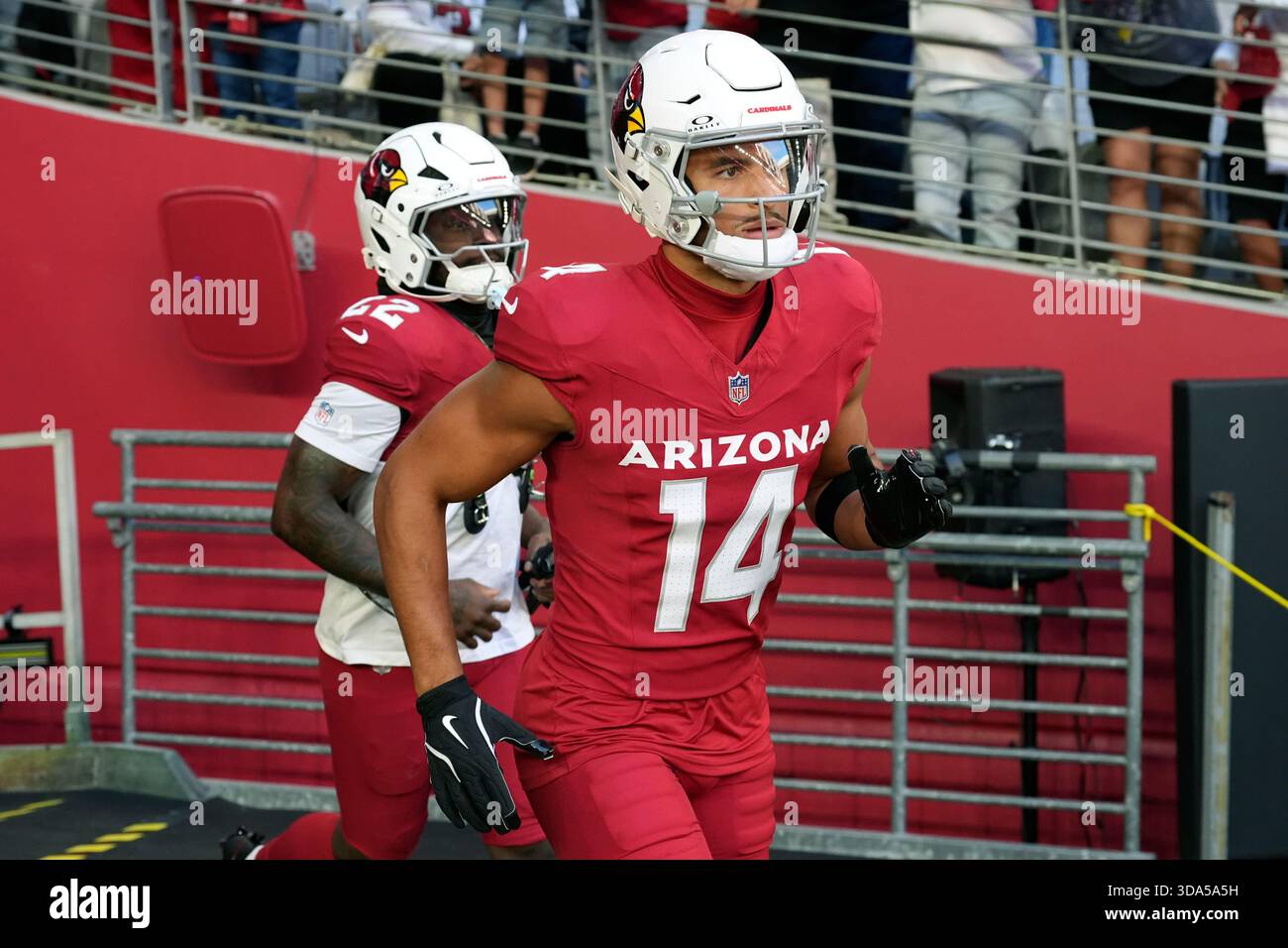 Arizona Cardinals wide receiver Michael Wilson (14) and Cardinals running back Michael Carter ...