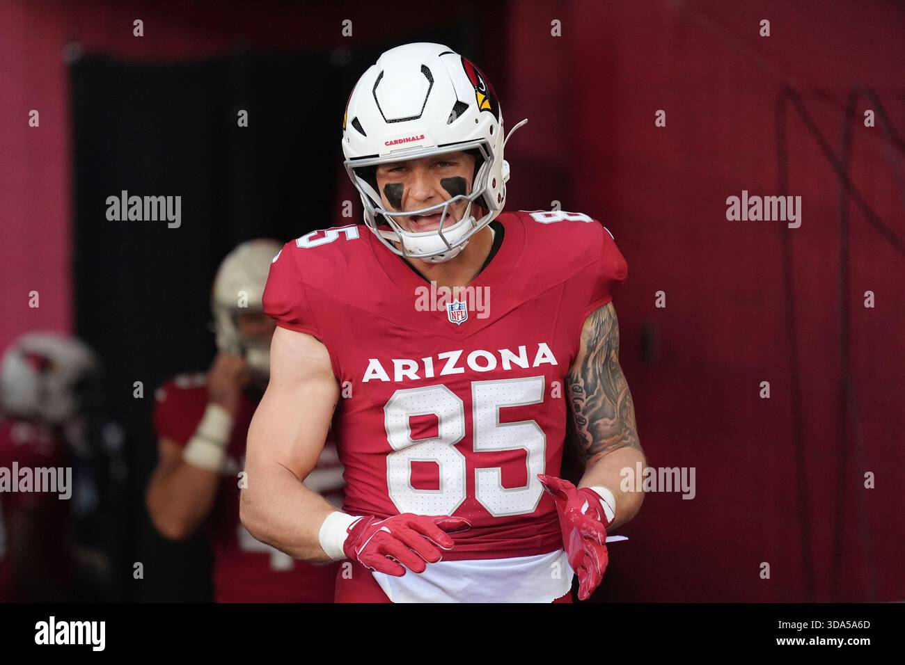 Arizona Cardinals tight end Trey McBride pauses on the field prior to ...