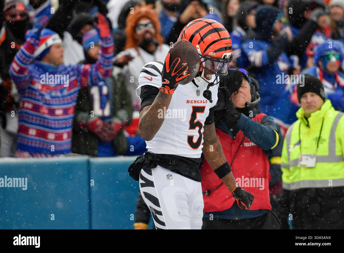 Cincinnati Bengals wide receiver Tee Higgins (5) celebrates after ...