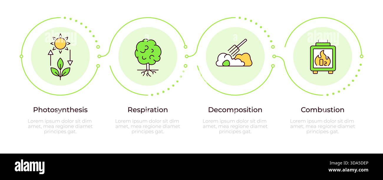 Carbon cycle diagram hi-res stock photography and images - Alamy