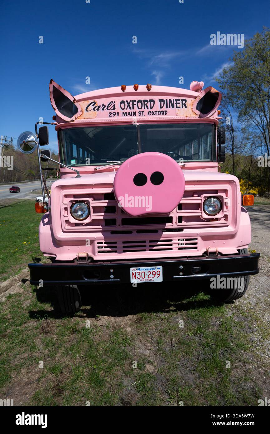 Artistic pig hi-res stock photography and images - Alamy