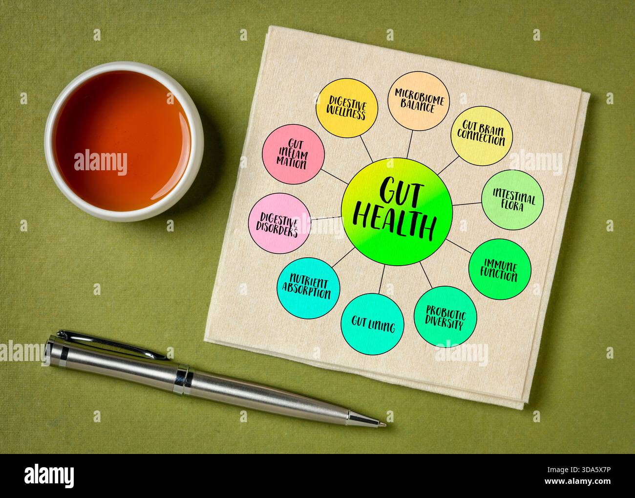 gut health, wellbeing of gastrointestinal tract, mind map infographics ...