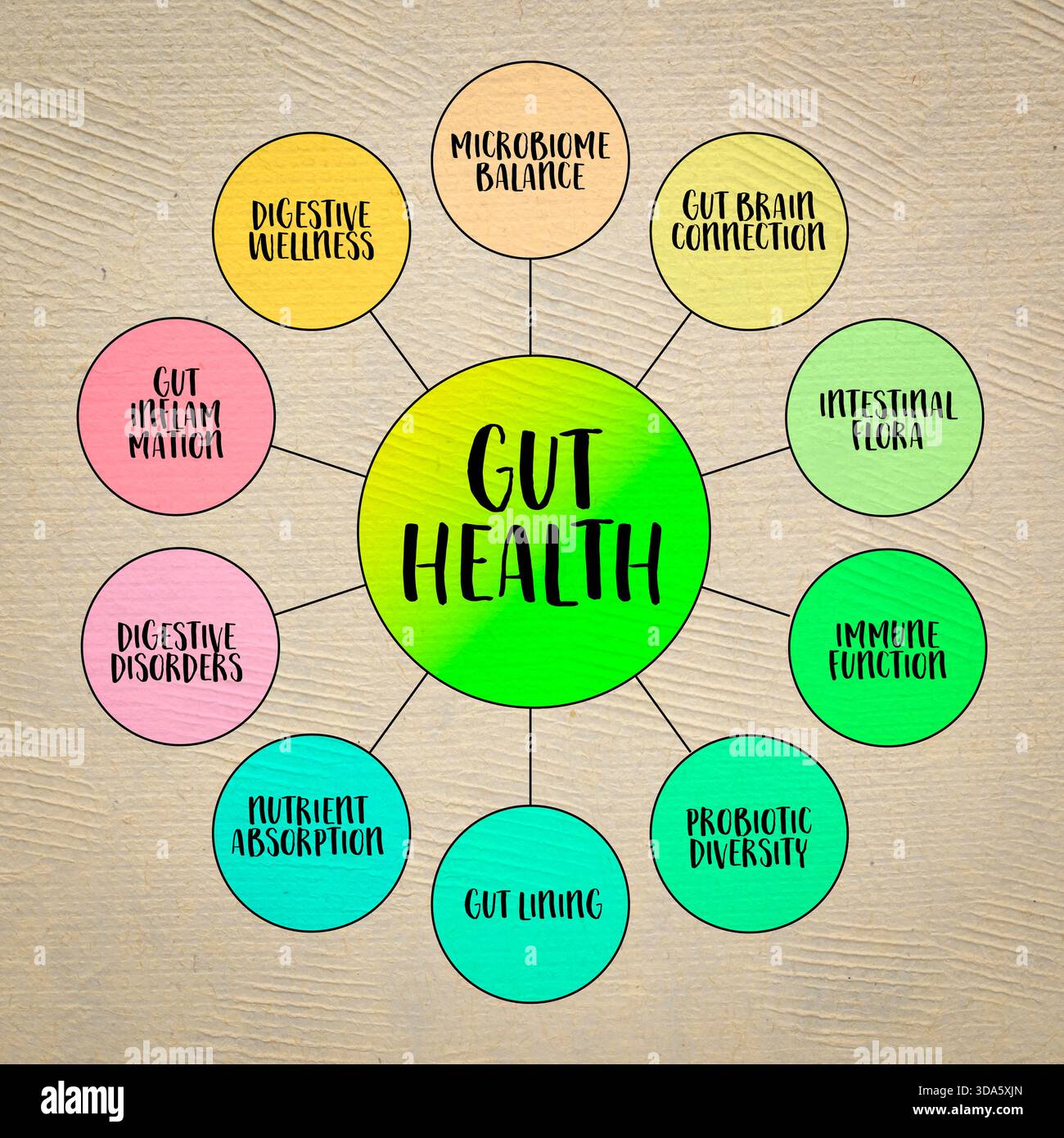 gut health, wellbeing of gastrointestinal tract, mind map infographics ...