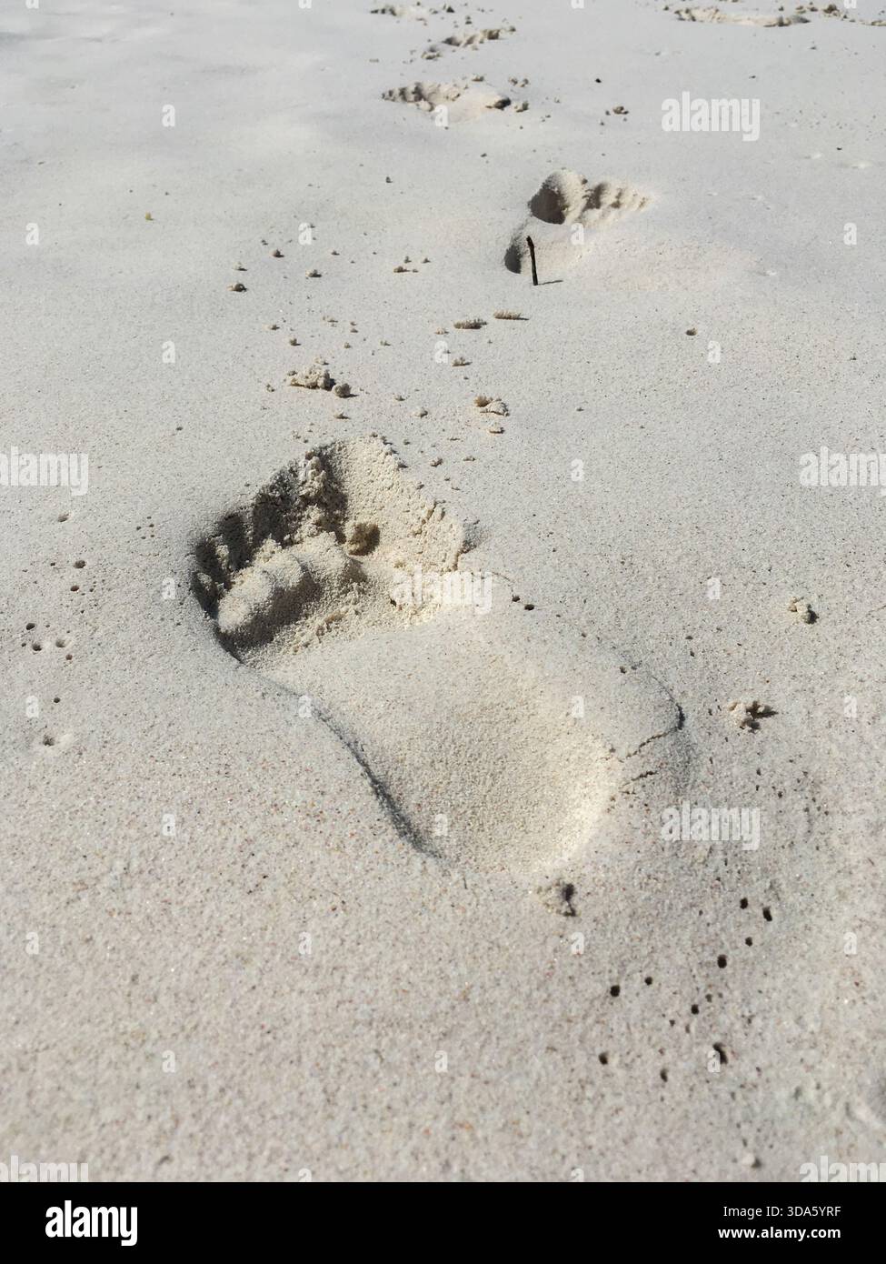 Footprints stretches across white sand on a beach, creating a simple ...