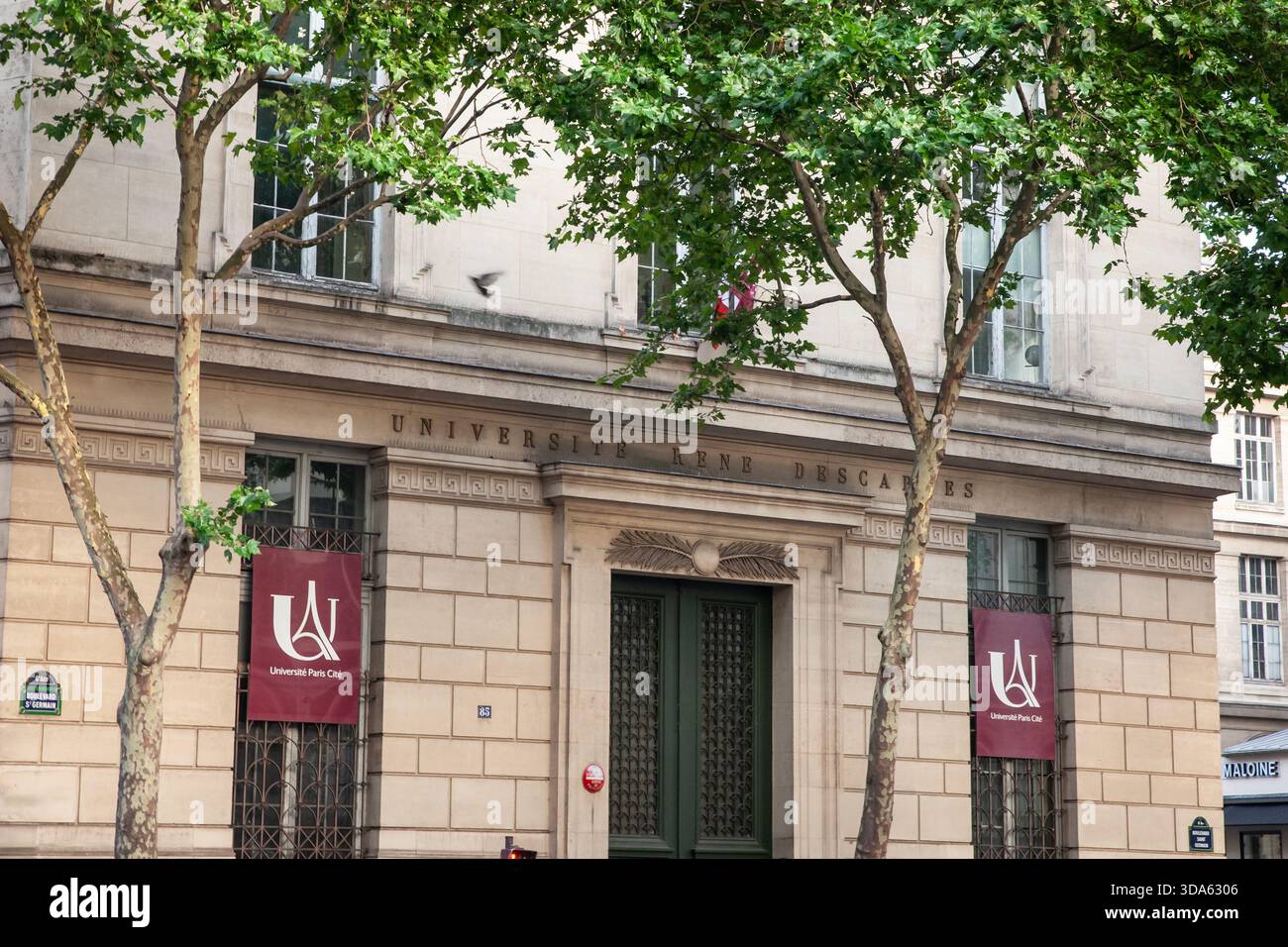 Rene descartes hi-res stock photography and images - Alamy