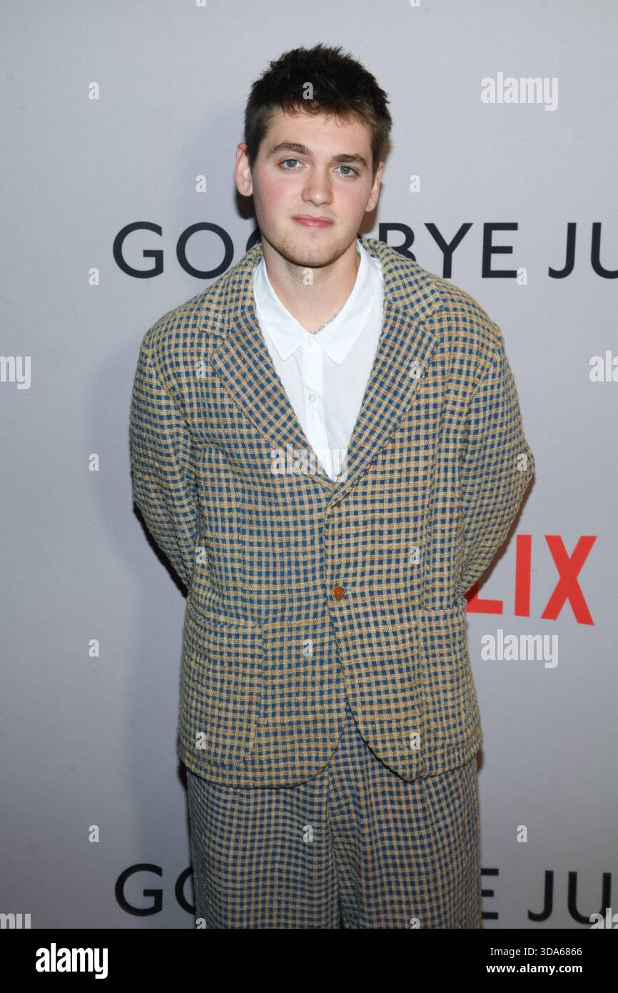 Joe Anders attends Netflix's "Goodbye June" New York screening at The ...