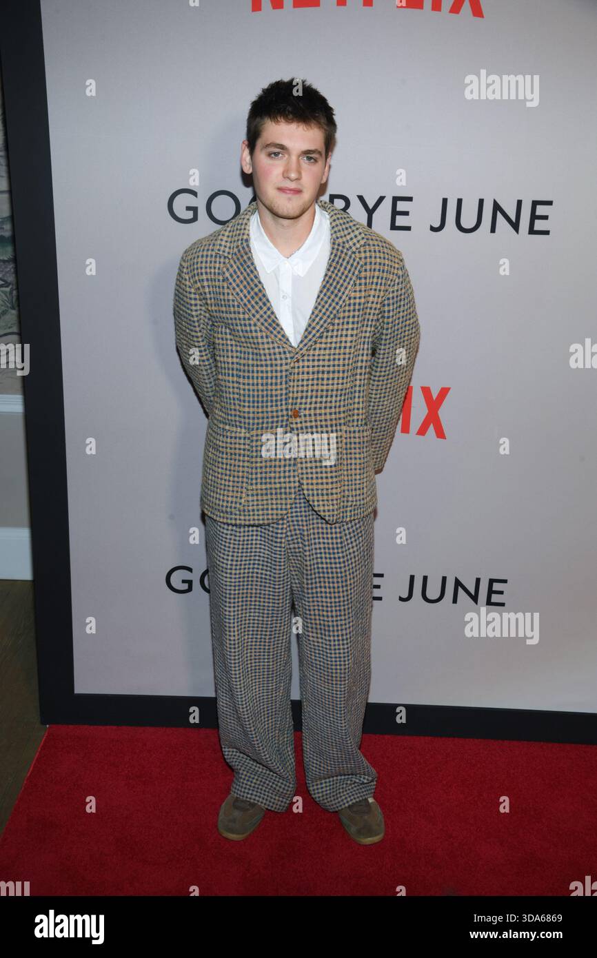 Joe Anders attends Netflix's "Goodbye June" New York screening at The ...