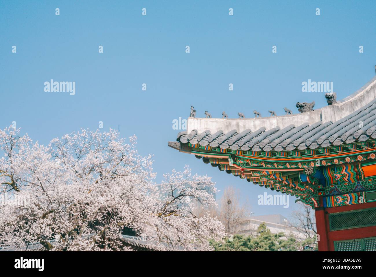 Eaves and Delicate Dancheong Patterns of Deoksugung Palace's ...