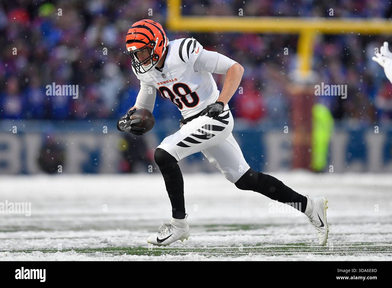 Cincinnati Bengals tight end Mike Gesicki (88) runs with the ball ...