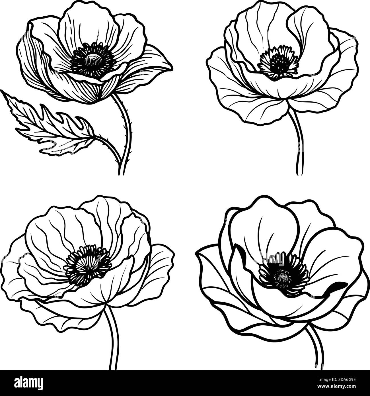 Poppy flower vector set — bold petals with a clean modern style Stock ...