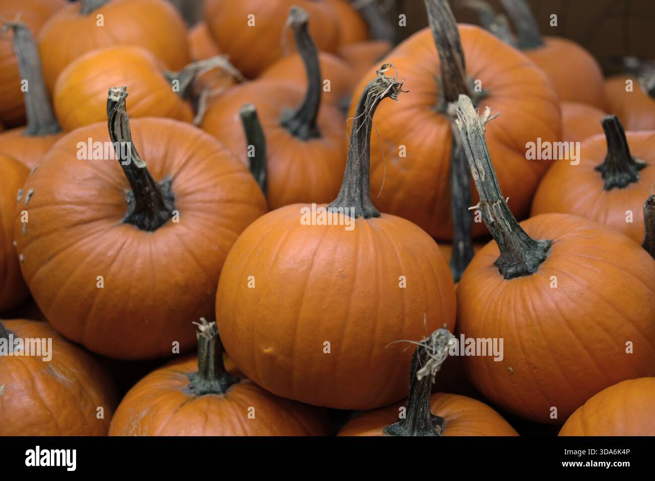 Close view ribbed surface forms hi-res stock photography and images - Alamy