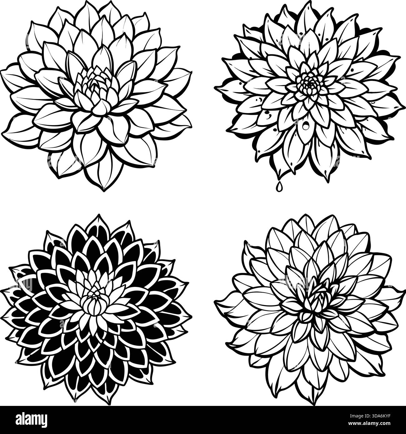 Detailed flower petals Cut Out Stock Images & Pictures - Alamy