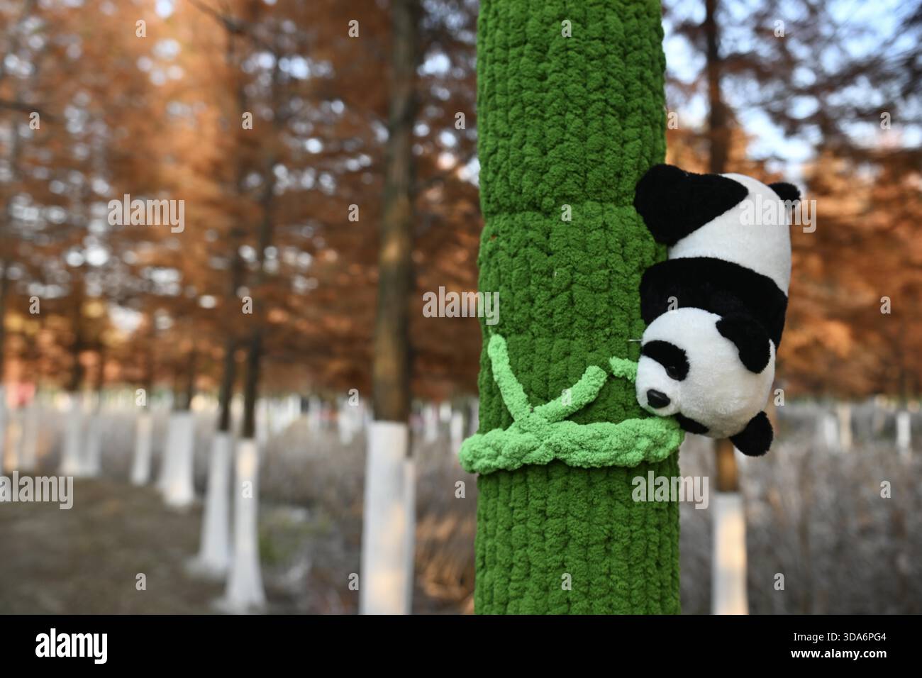 **CHINESE MAINLAND, HONG KONG, MACAU AND TAIWAN OUT** Trees on the ...