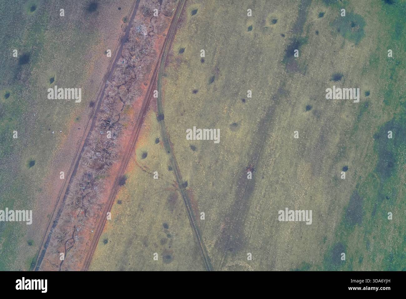 Aerial drone shot of defensive trenches and earthworks dug along a tree ...