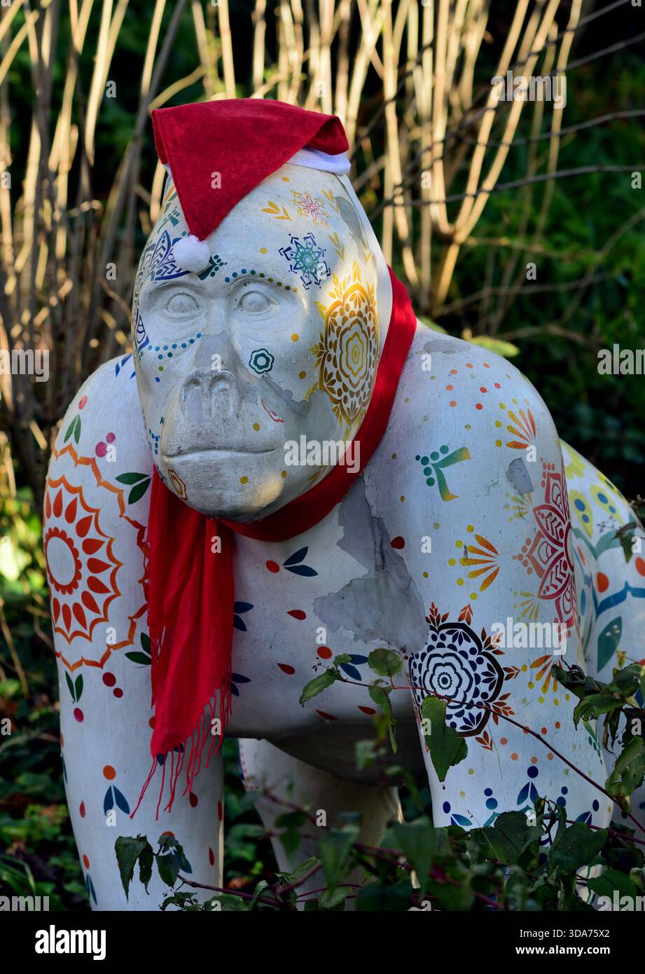 A decorated model of a gorilla with Christmas hat at Paignton Zoo Stock ...