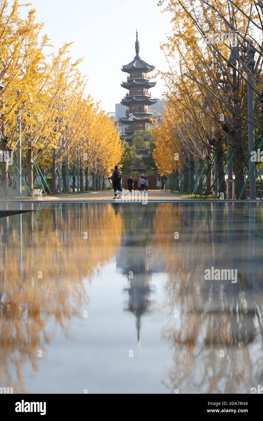 Tourists admire ginkgo trees at Longhua Temple in Shanghai, China, 6 ...