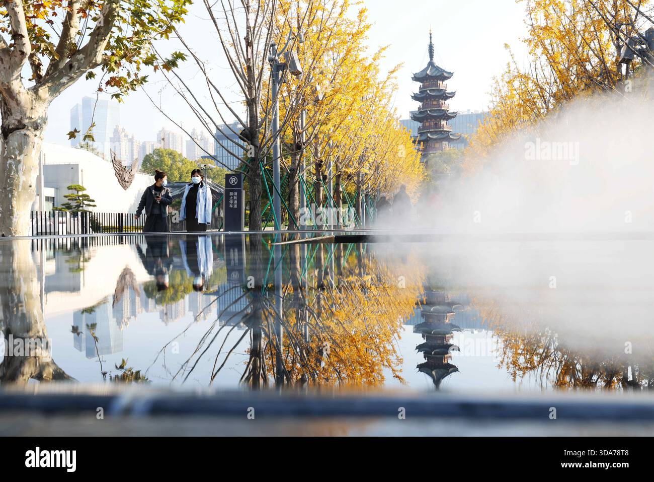 Tourists admire ginkgo trees at Longhua Temple in Shanghai, China, 6 ...