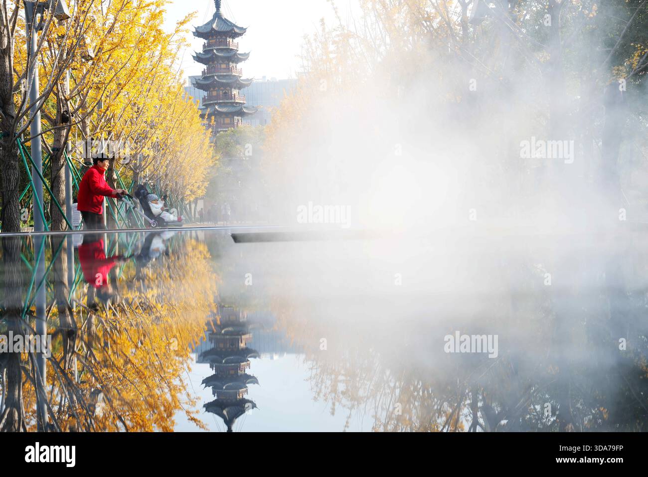 Tourists admire ginkgo trees at Longhua Temple in Shanghai, China, 6 ...