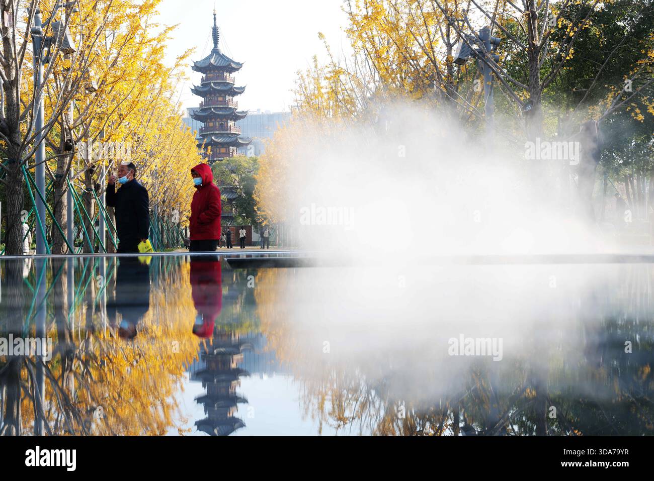 Tourists admire ginkgo trees at Longhua Temple in Shanghai, China, 6 ...