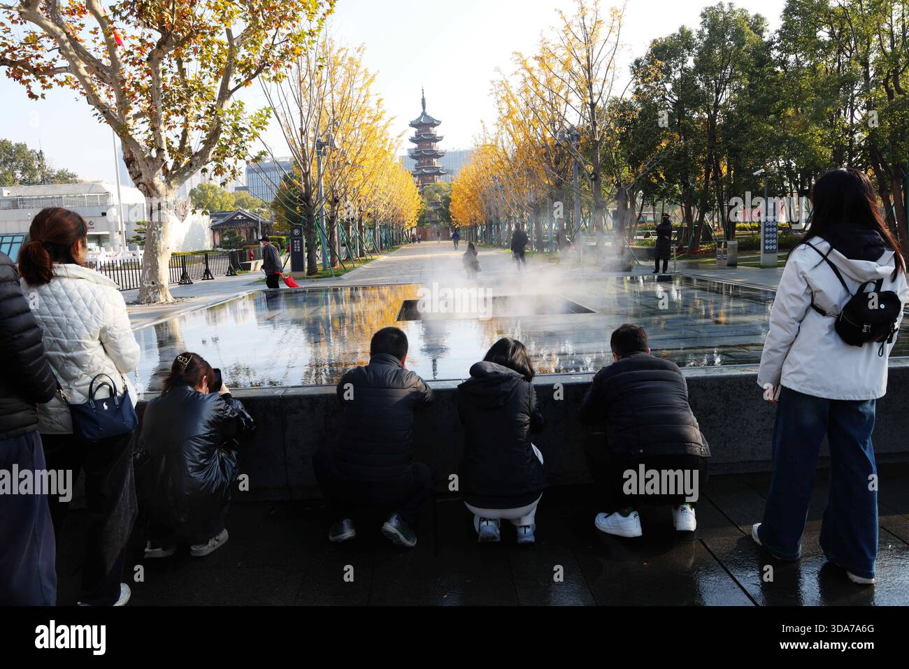 Tourists admire ginkgo trees at Longhua Temple in Shanghai, China, 6 ...
