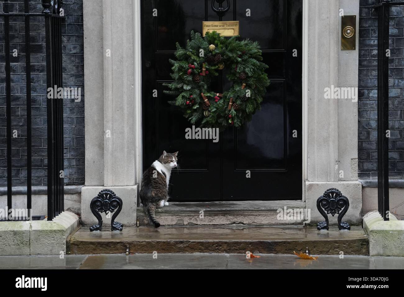 Chief Mouser to the Cabinet Office, Larry the cat, waits to be let into ...