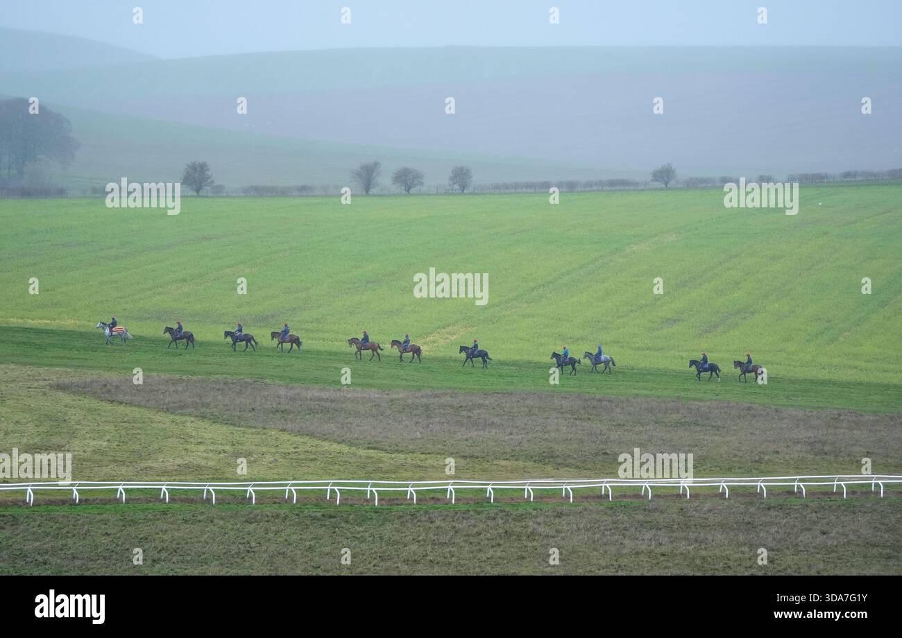 Racehorses on the gallops near to Beckhampton in Wiltshire. The Met ...