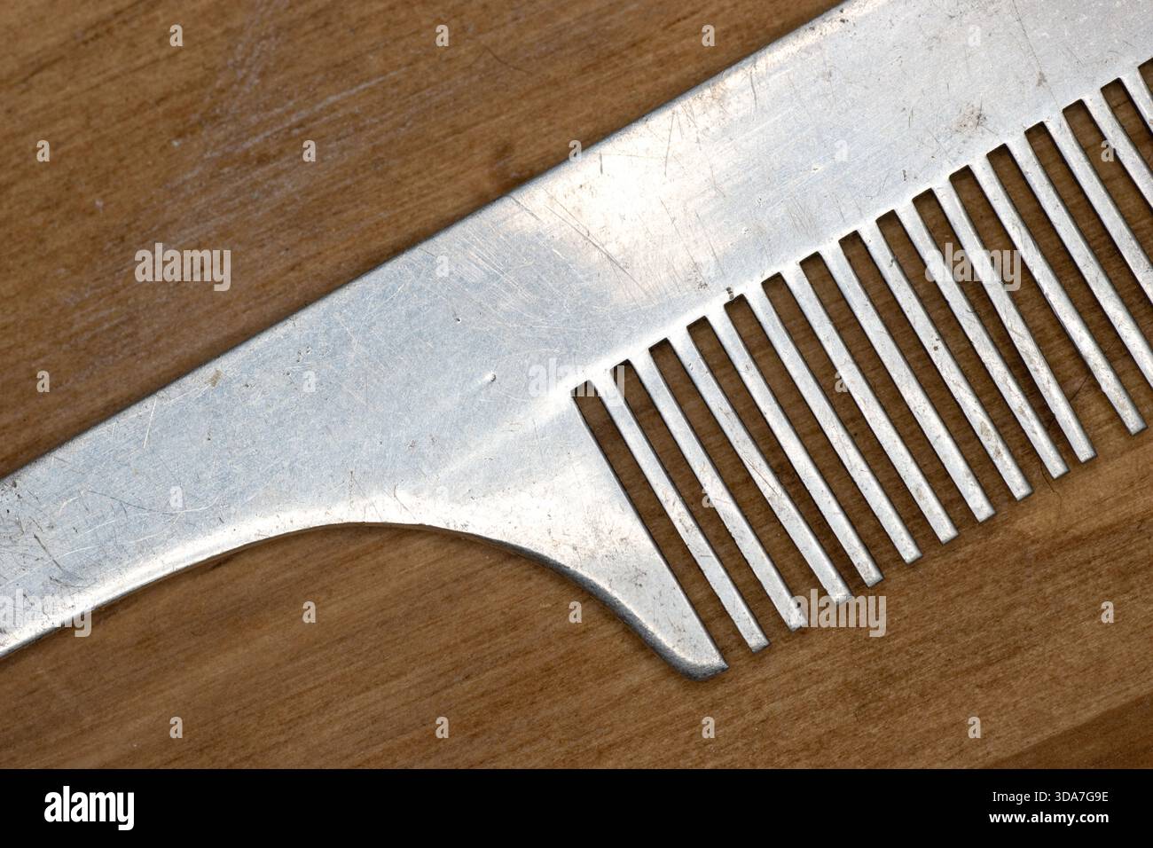 Steel comb cat hi-res stock photography and images - Alamy