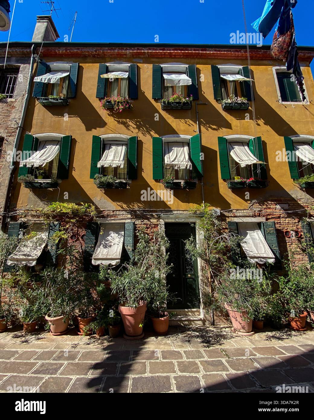 Traditional Venice building with shuttered windows and olive trees on ...