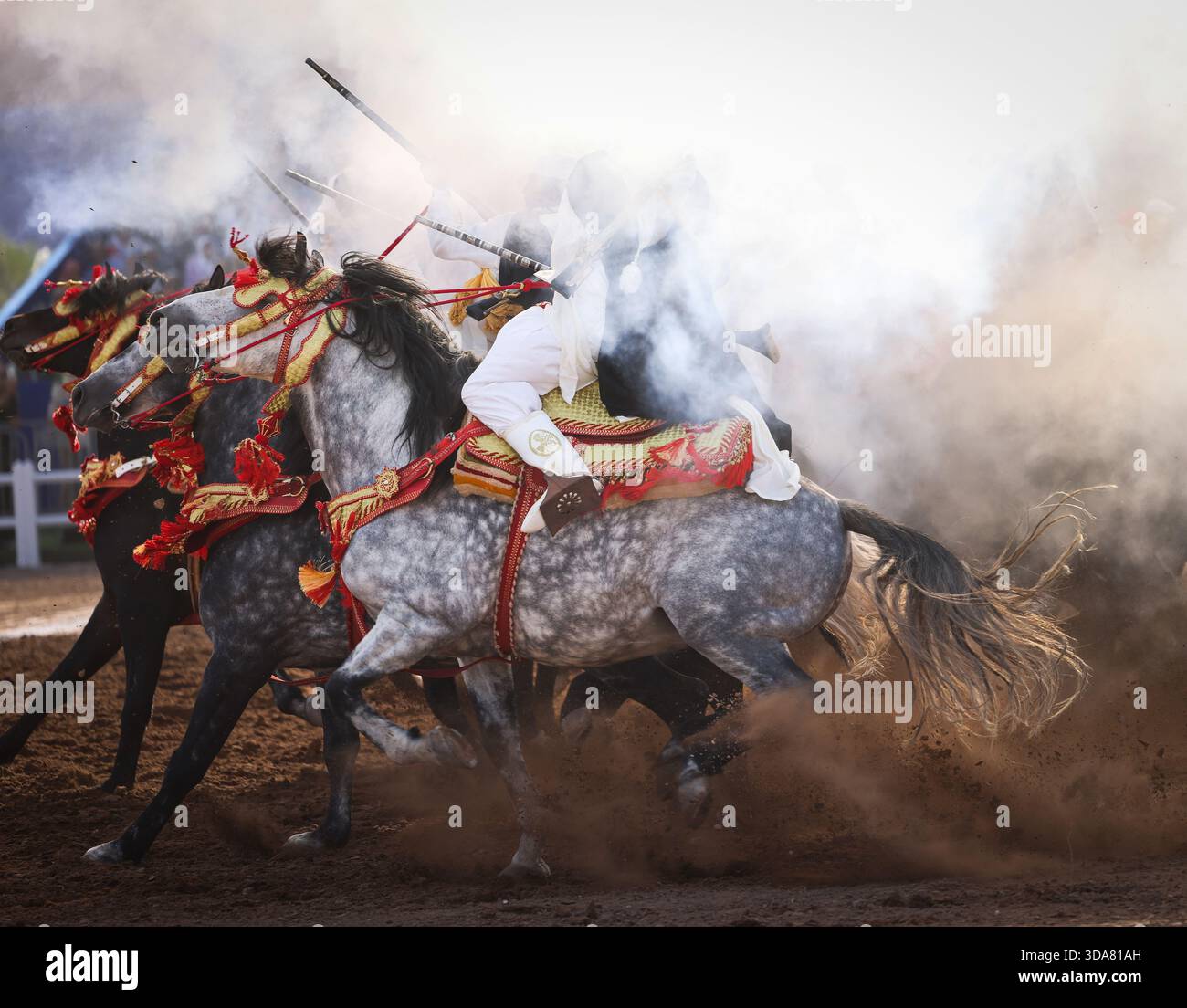 A burst of fire and rhythm.Moroccan Fantasia brings history alive in ...