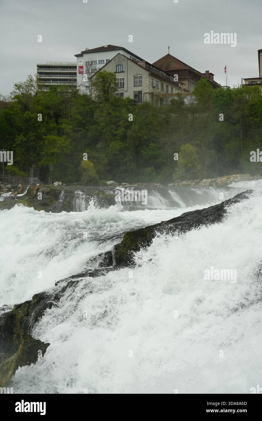 The powerful Rhine Falls in Switzerland, Europe's largest plain ...