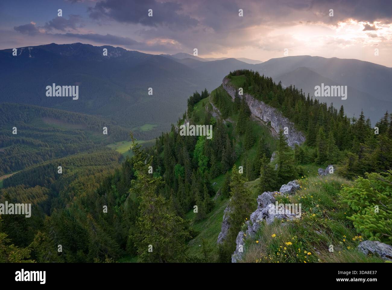 Aerial view of a rugged, forest-clad ridge under a dramatic sky, where ...