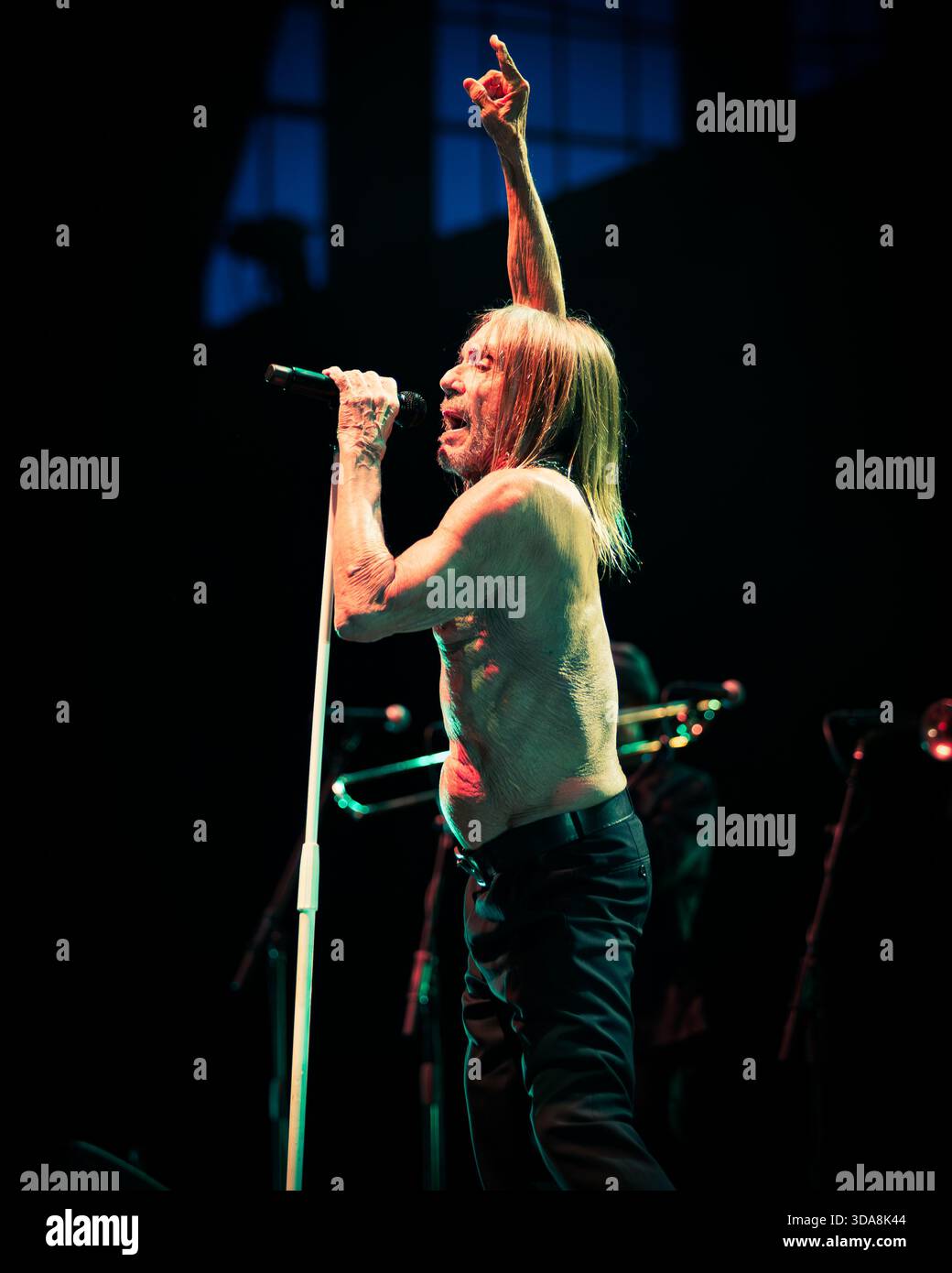 David bowie and iggy pop hi-res stock photography and images - Alamy