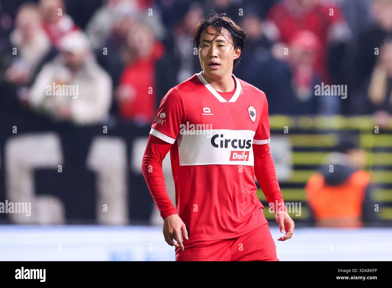 ANTWERPEN, BELGIUM - DECEMBER 3: Yuto Tsunashima of Royal Antwerp FC ...