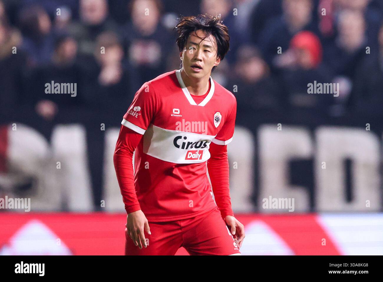 ANTWERPEN, BELGIUM - DECEMBER 3: Yuto Tsunashima of Royal Antwerp FC ...