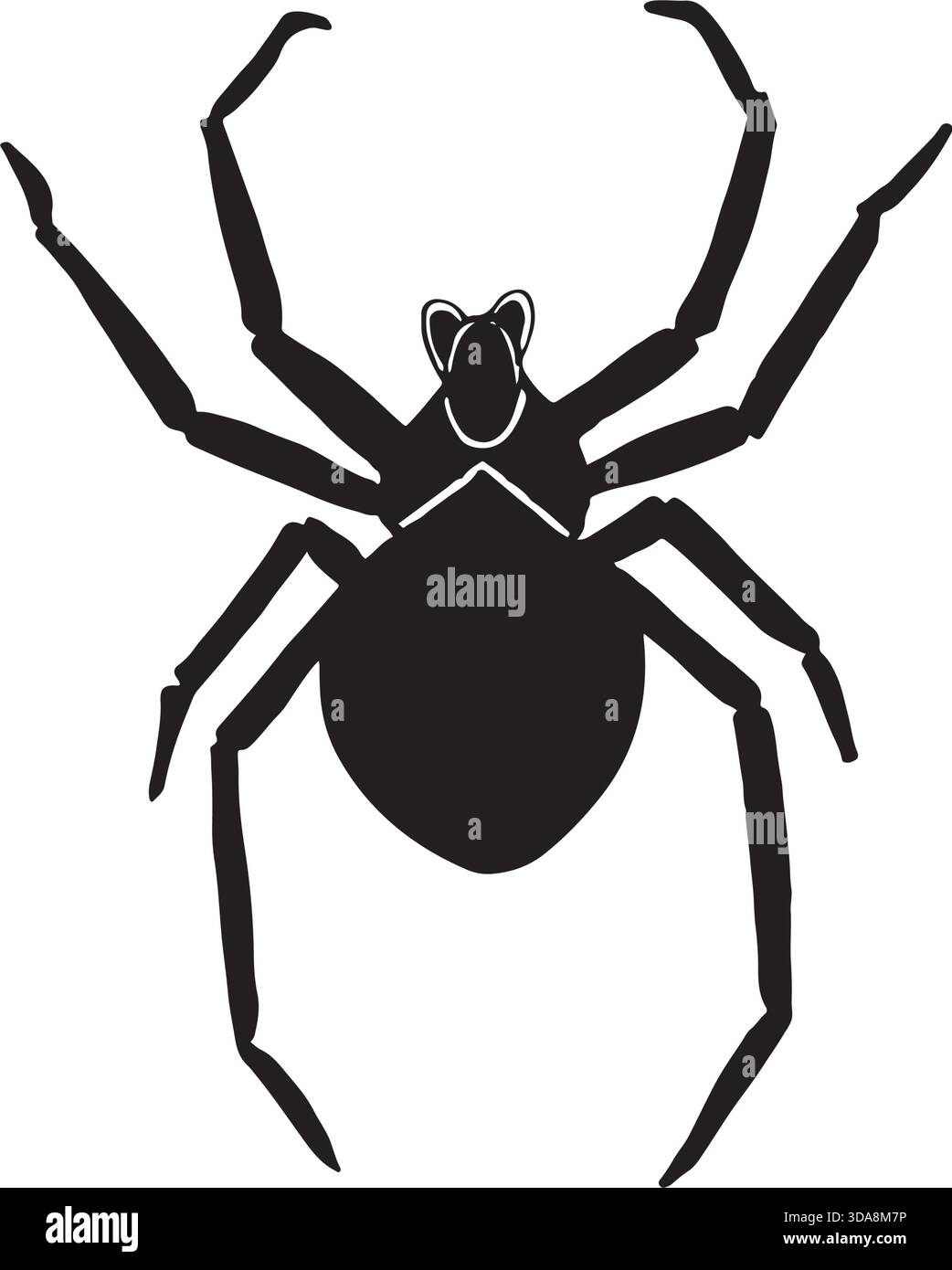 Arthropod vector art Black and White Stock Photos & Images - Alamy