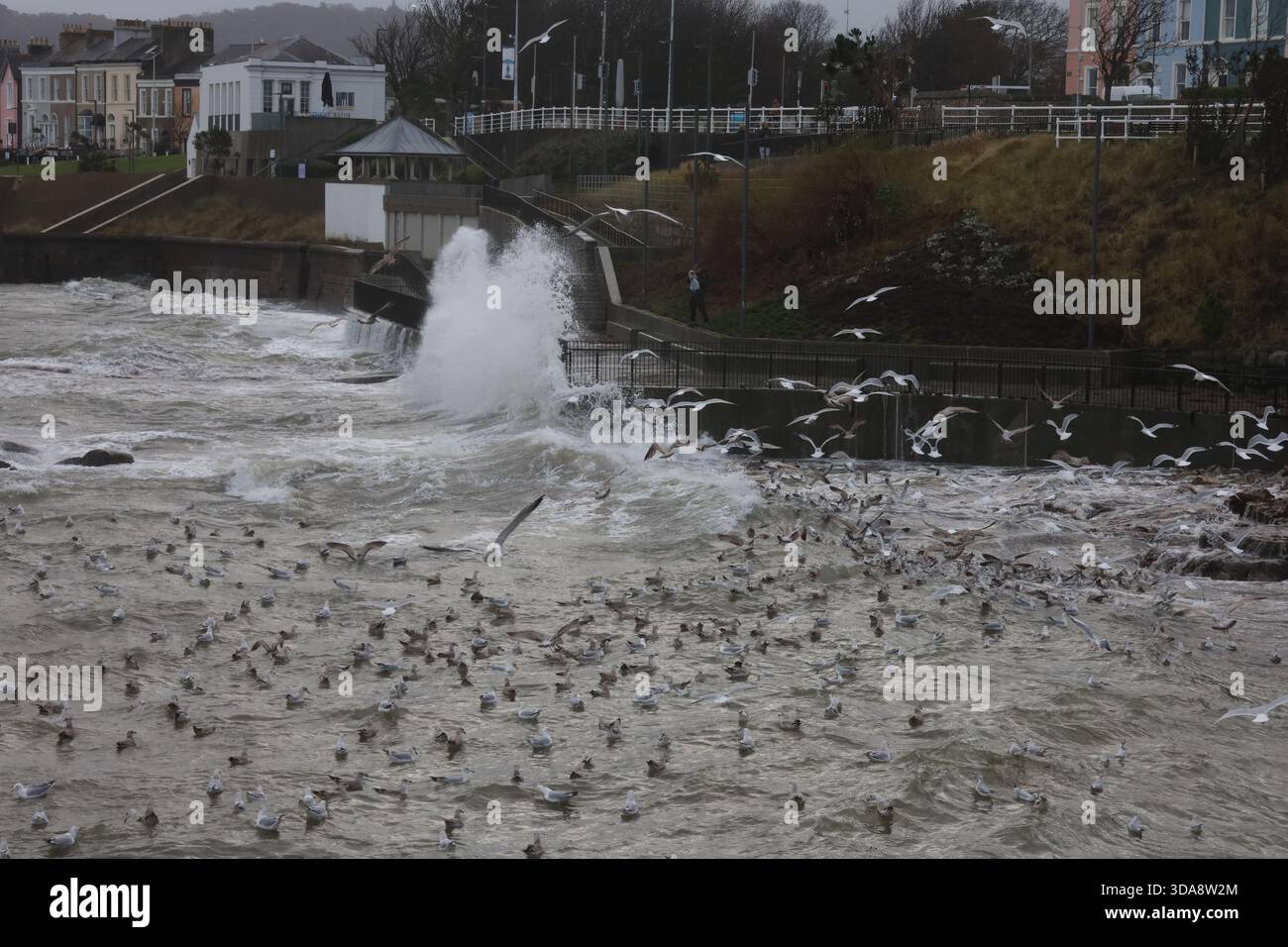 Dun Laoghaire, Dublin, Ireland, 9th December, 2025. Waves top over sea ...