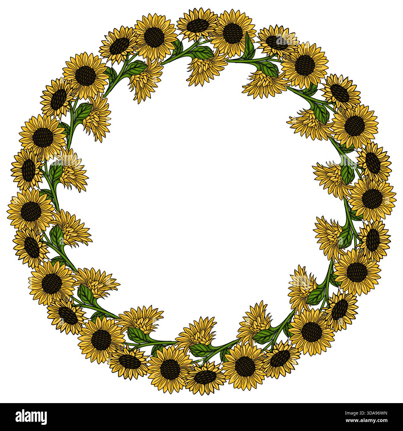Bright sunflowers detailed petals Stock Vector Images - Alamy
