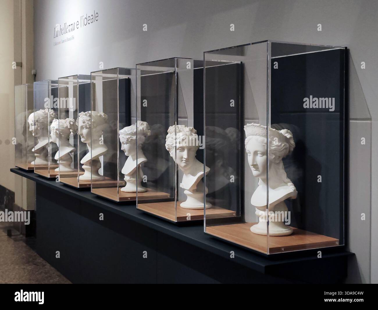Milan, Italy - May 23, 2025: Classical marble busts displayed in glass ...