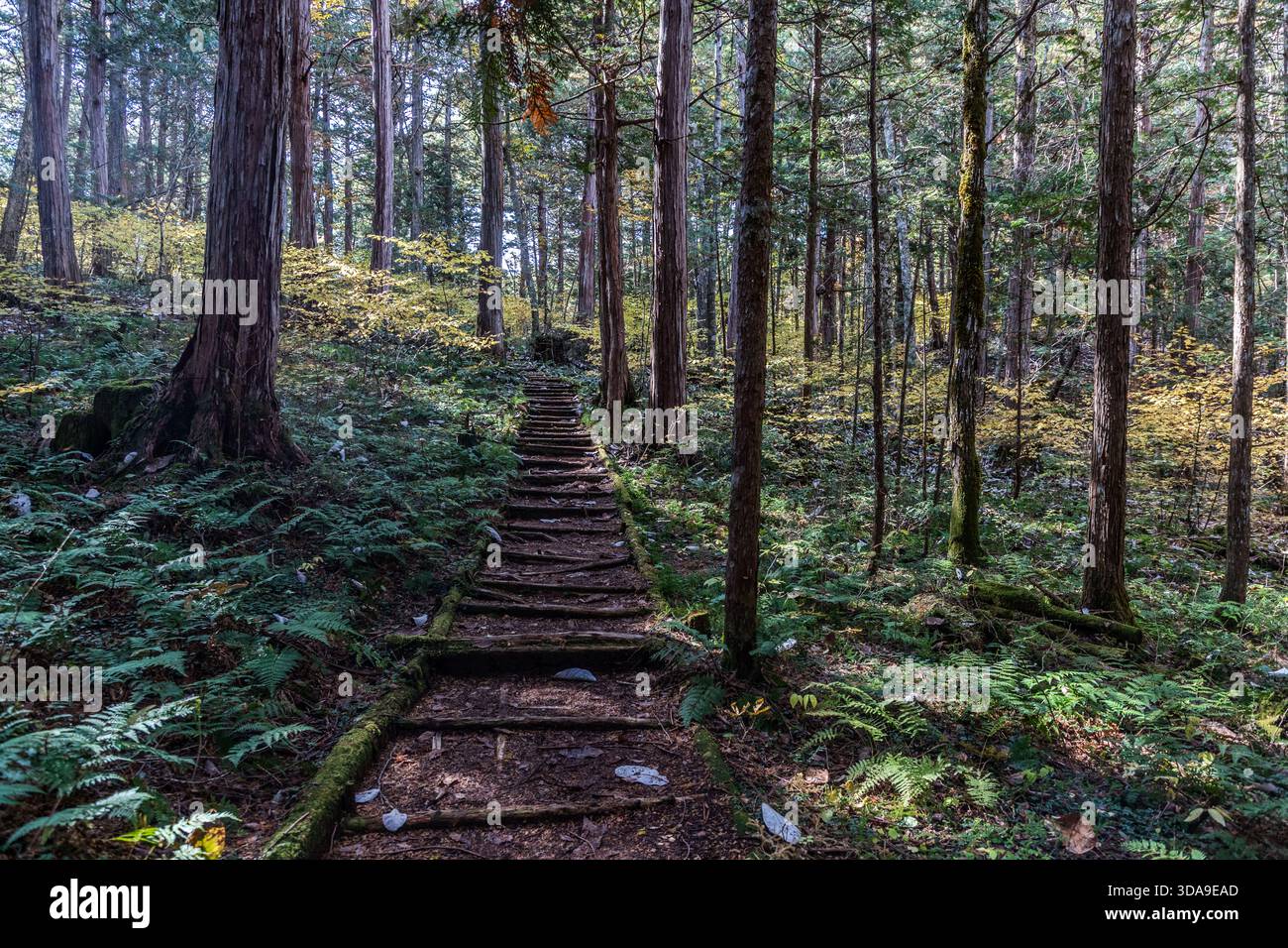 Agematsu nagano japan hi-res stock photography and images - Alamy