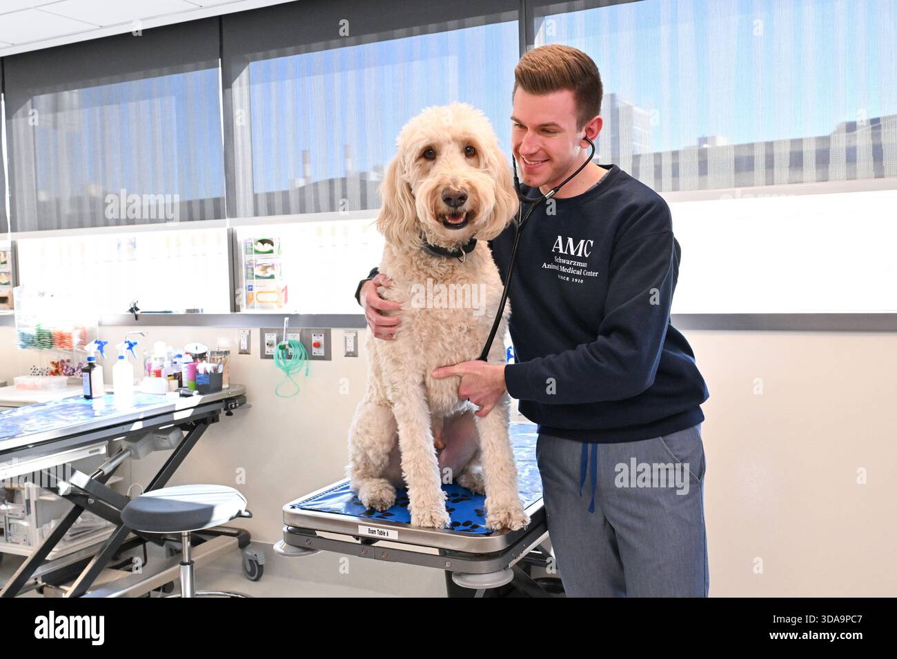 IMAGE DISTRIBUTED FOR SCHWARZMAN ANIMAL MEDICAL CENTER - An AMC ...