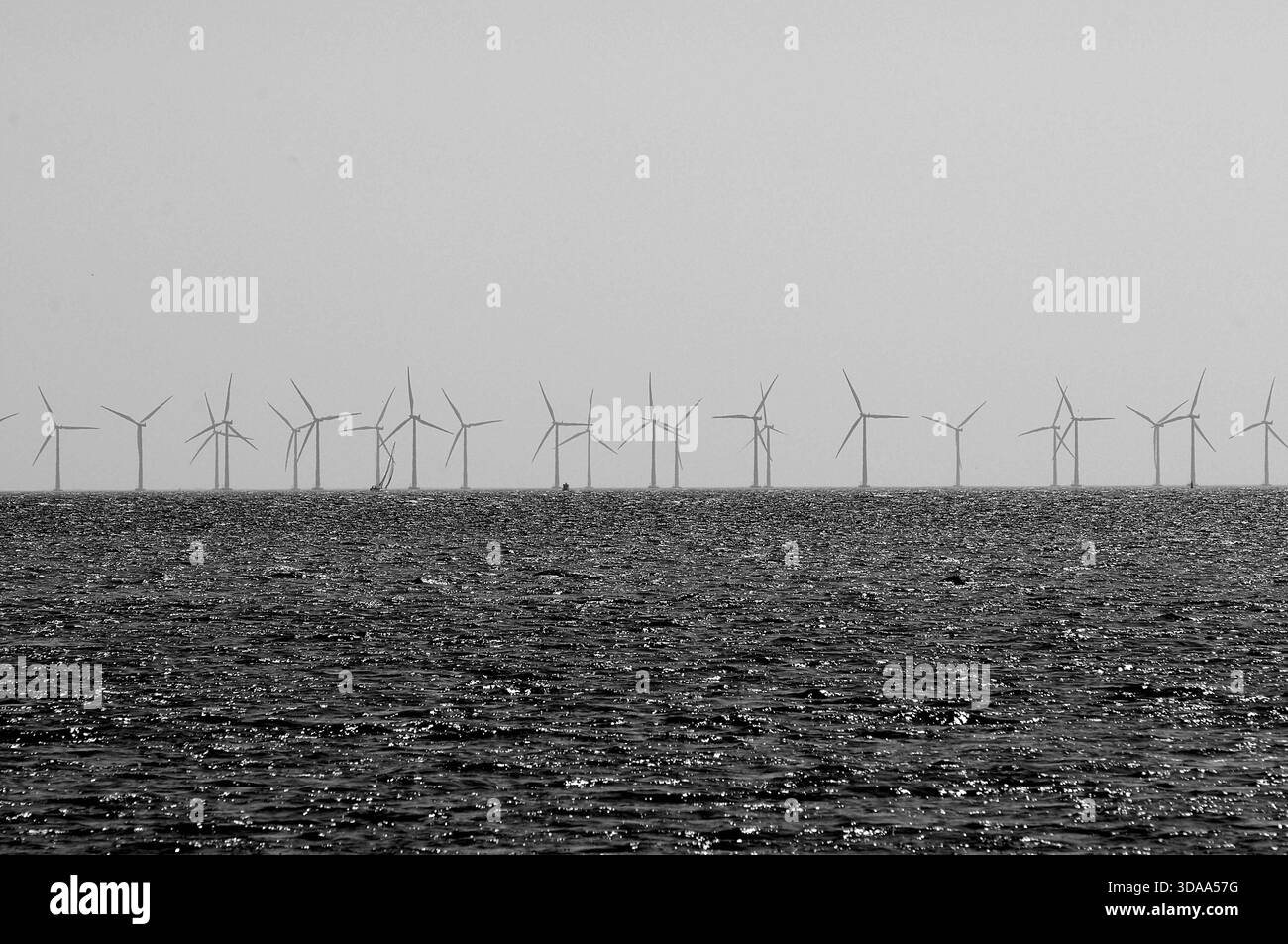 Copenhagen / Denmark - 12 May 2017. . Wind turbines park in oresund sea ...