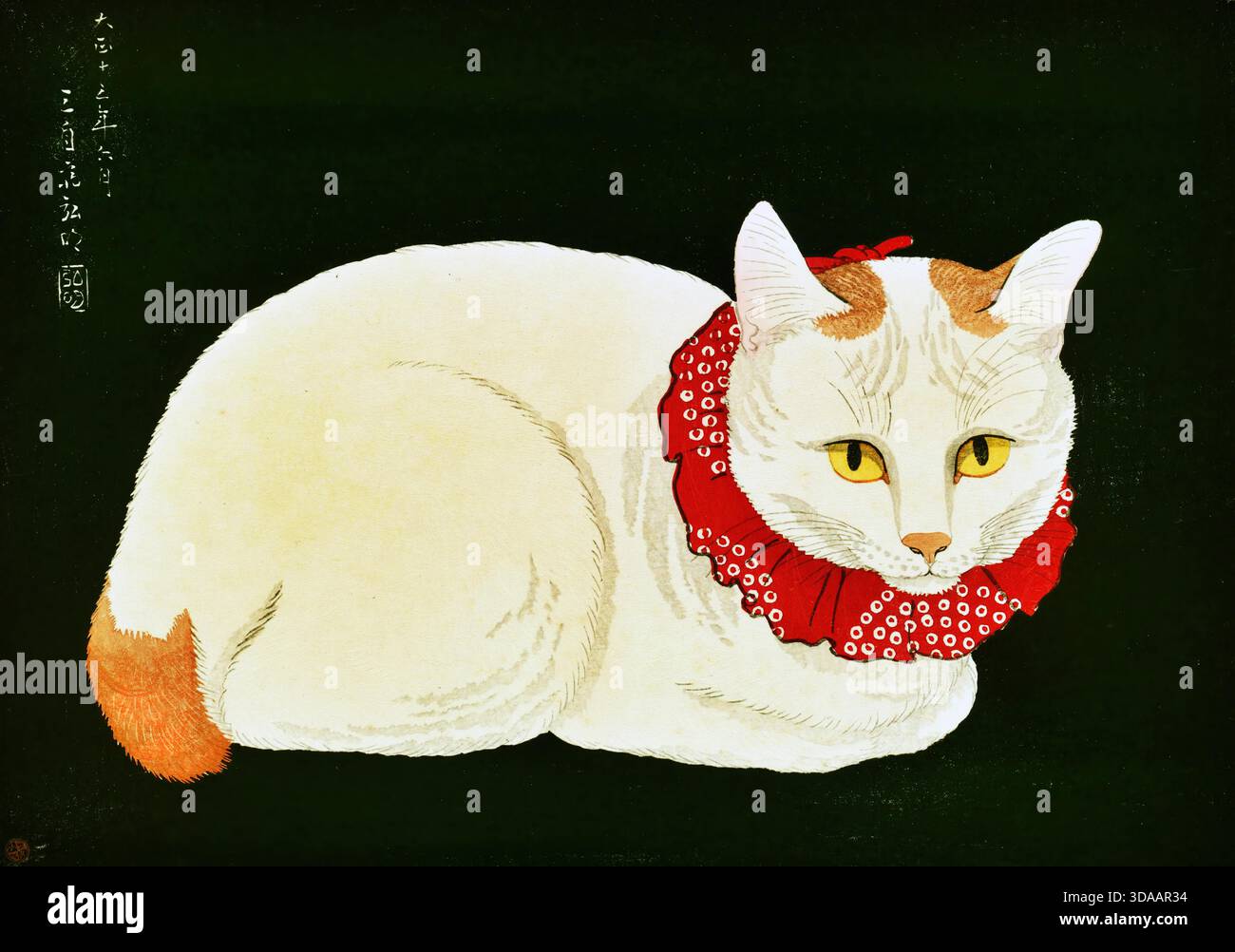 Portrait snow white cat Stock Vector Images - Alamy