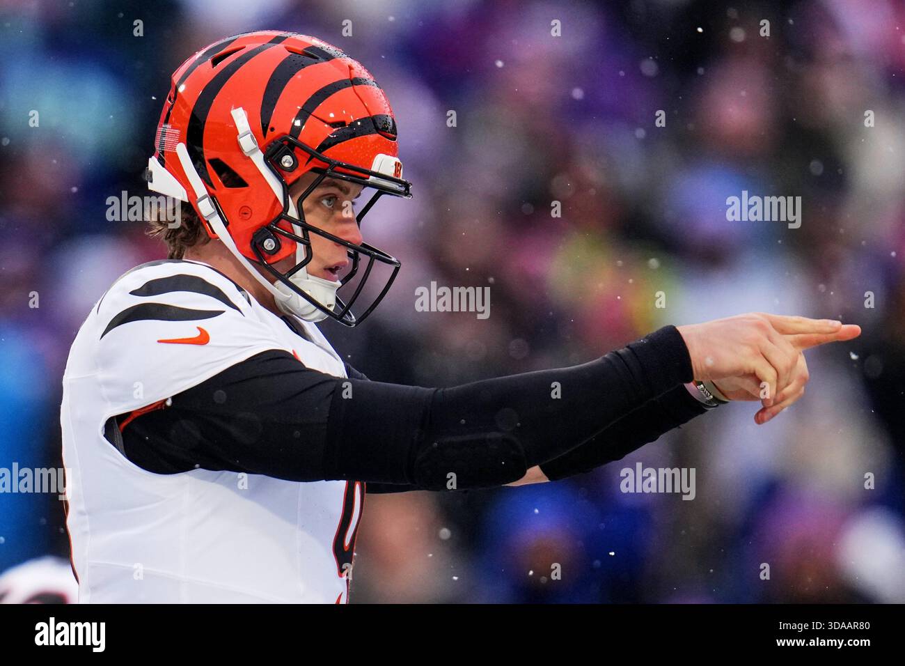 Cincinnati Bengals quarterback Joe Burrow (9) sets up a play during the ...