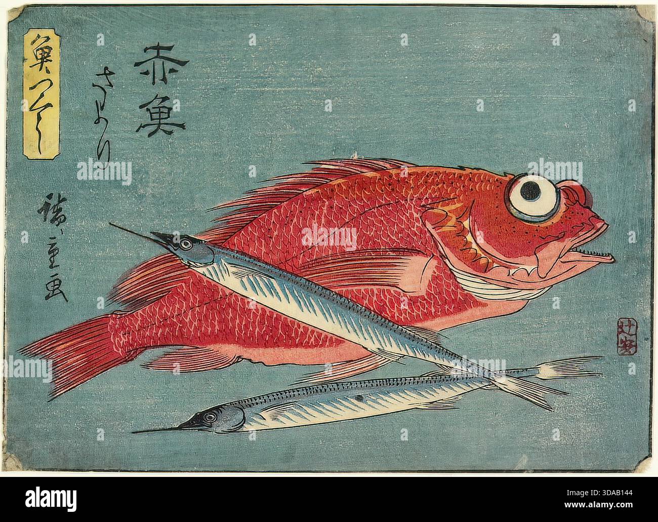 Utagawa Hiroshige, Red Snapper and Halfbeak, 18301844, fish study Stock ...