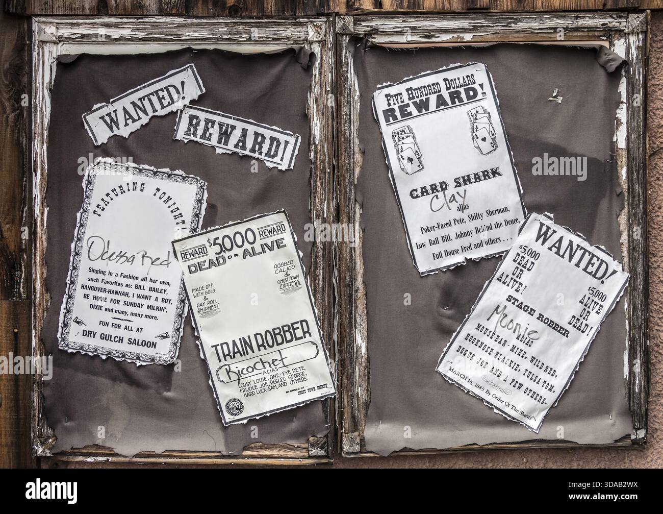Wanted dead or alive reward posters with space for your picture hanging ...
