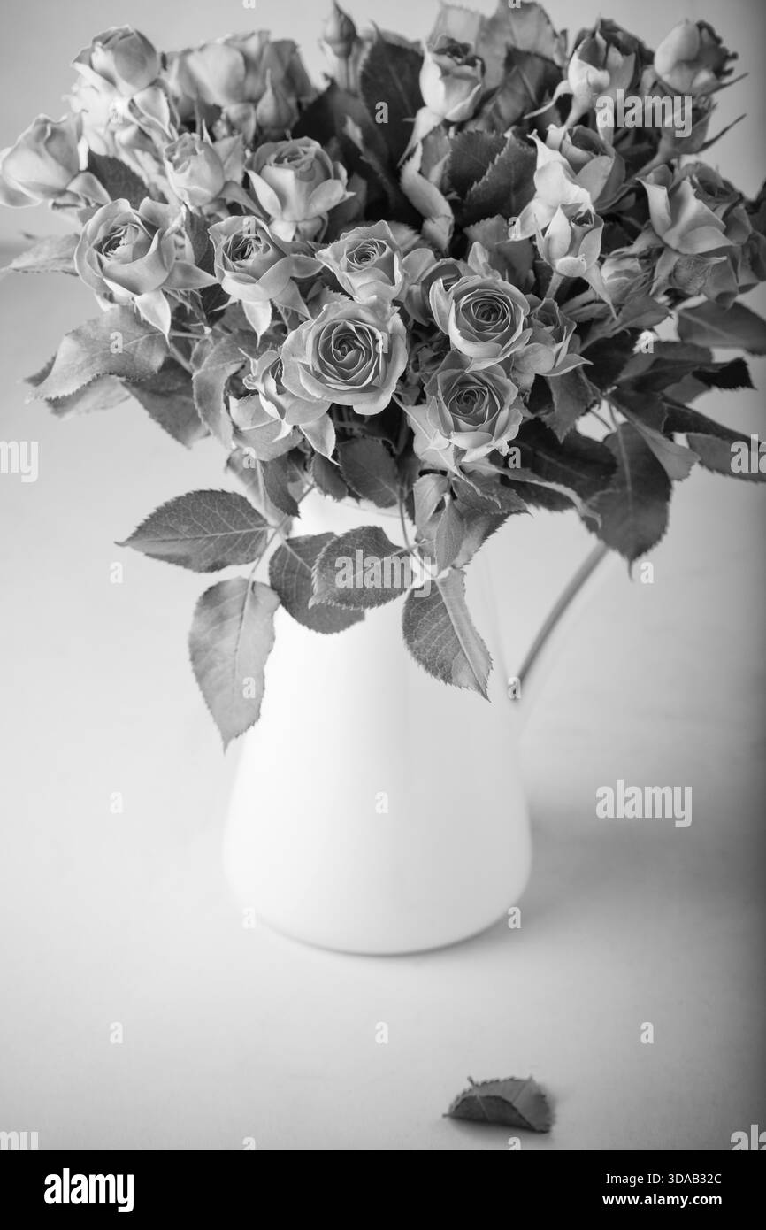 Black white rose against Black and White Stock Photos & Images - Alamy