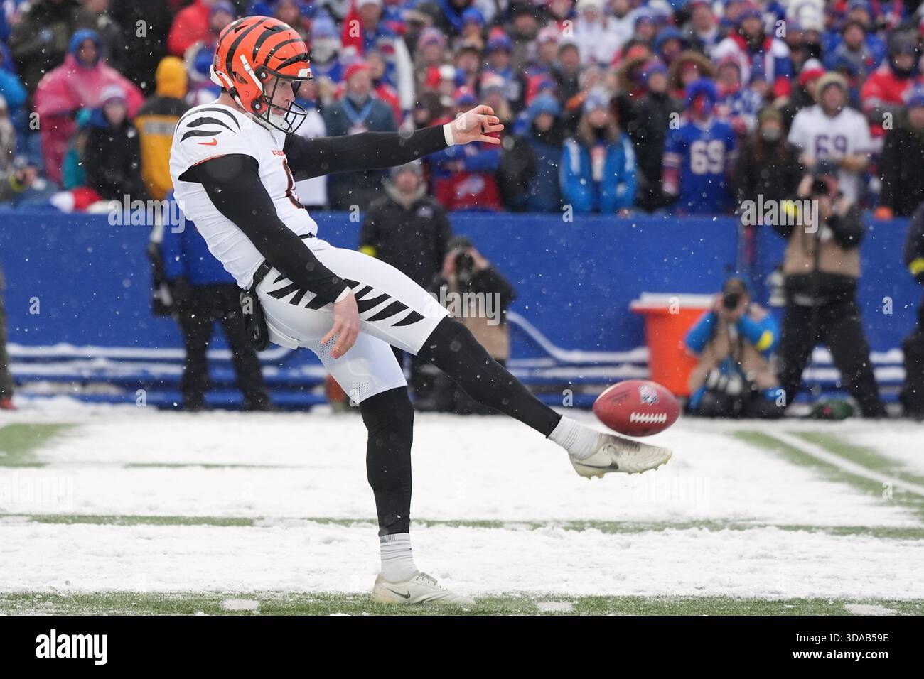 Cincinnati Bengals punter Ryan Rehkow (8) gets off a punt during the ...